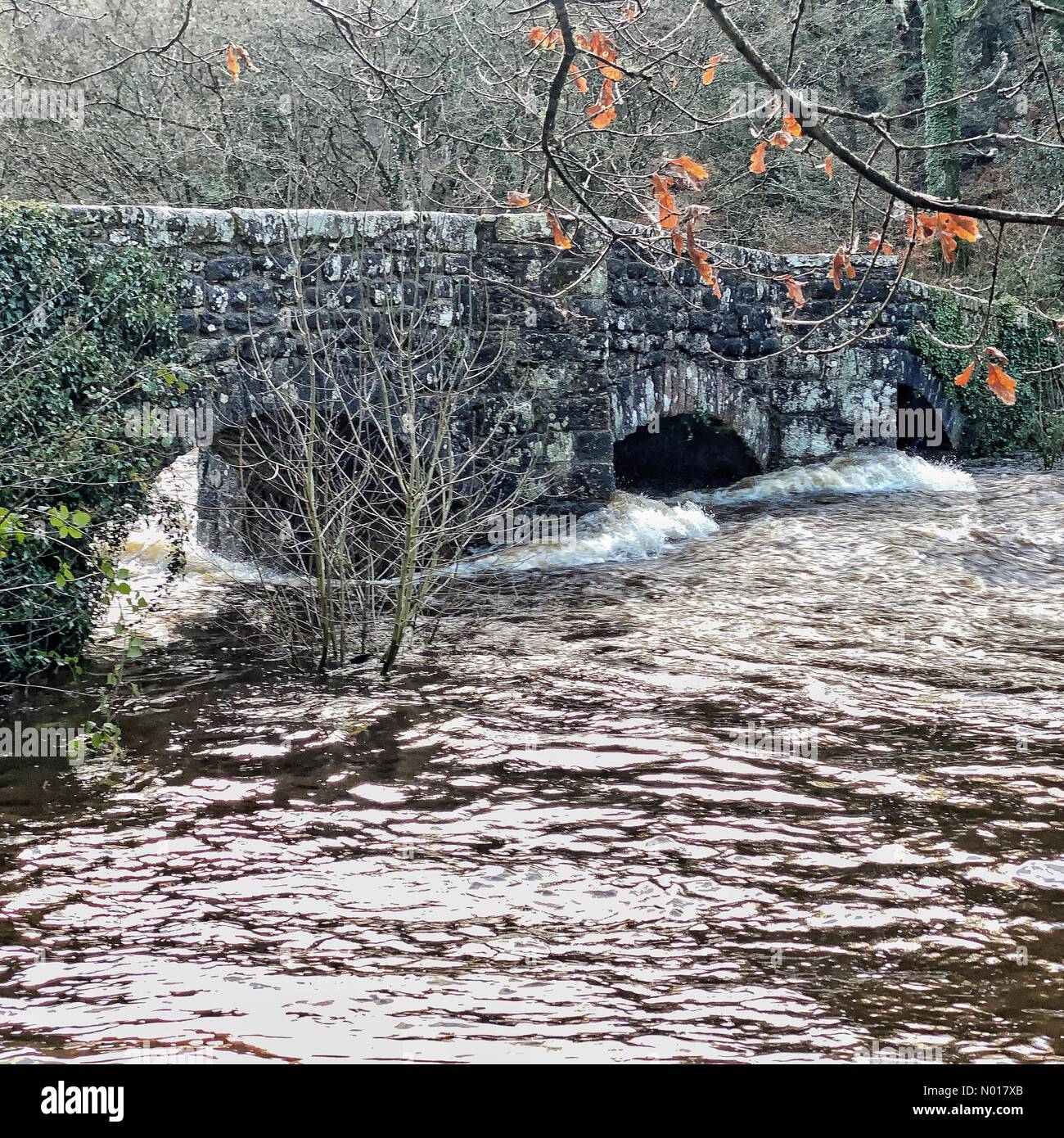 UK Weather: Fingle bridge as high water rushes through arches after ...