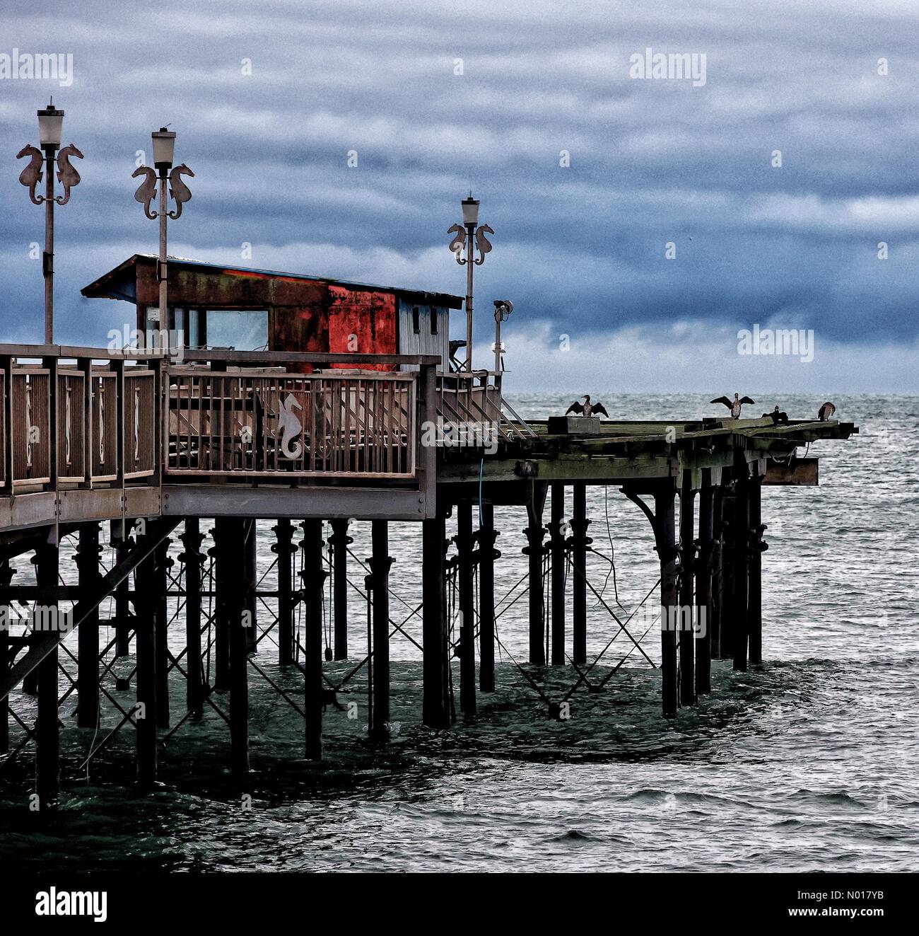 UK Weather: Seabirds on pier under storm clouds. Teignmouth, Devon, UK ...