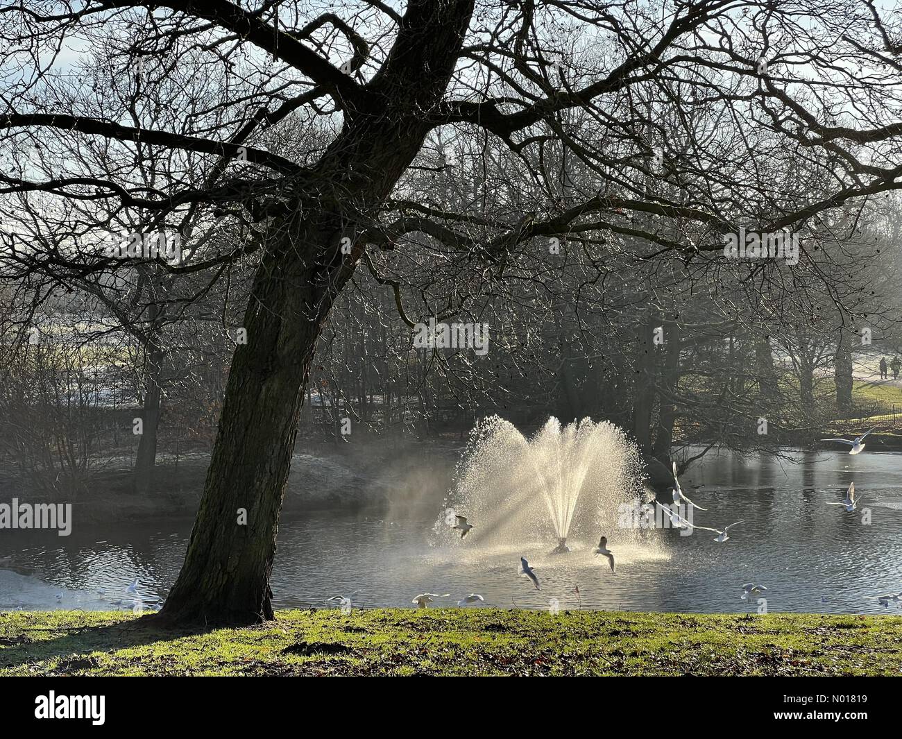 UK Weather: Sunny in Chorley. Cold frosty but sunny morning at Astley ...