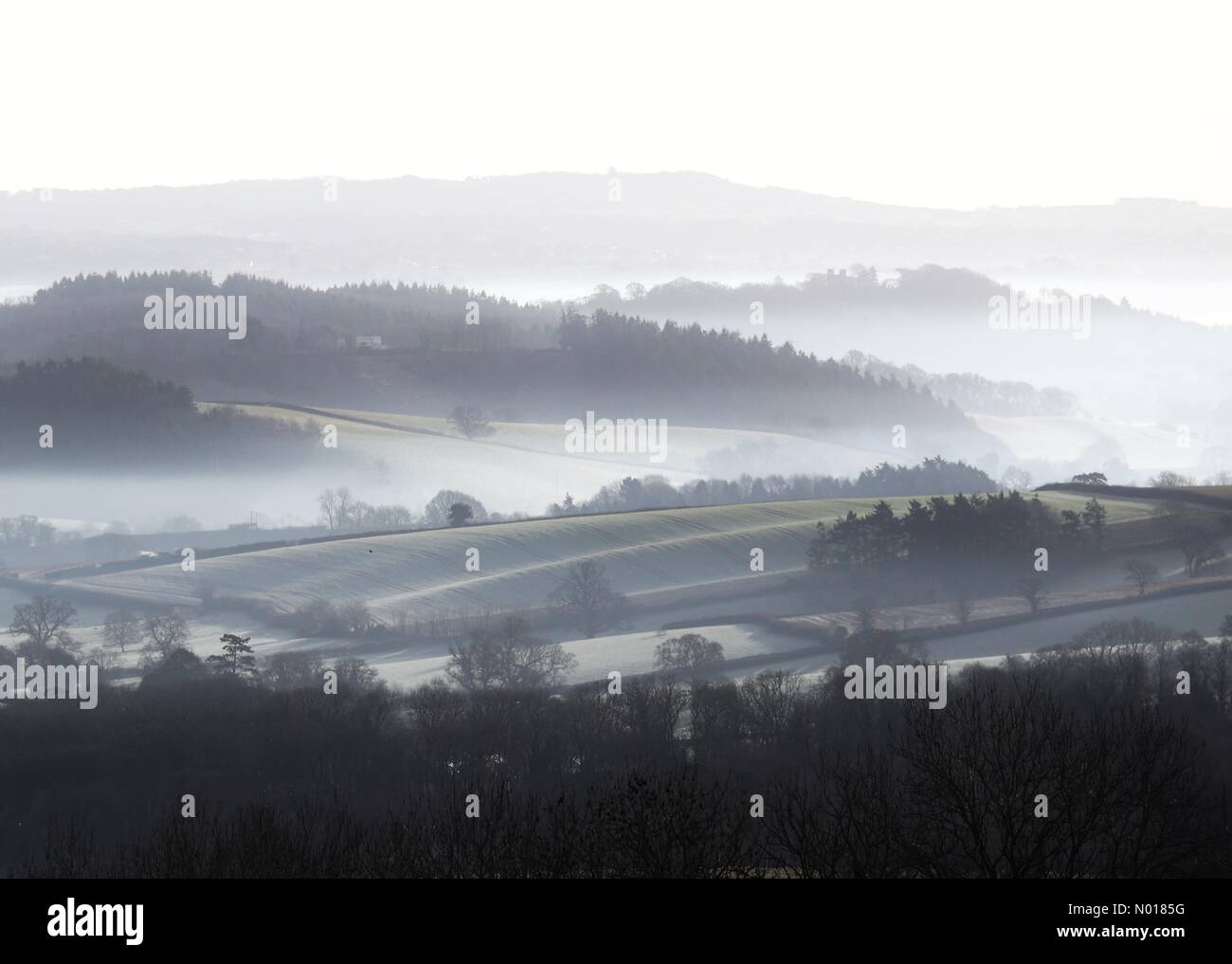 UK Weather: Mist engulfs a frosty Exe Valley near Exeter, Devon, UK. 10 ...