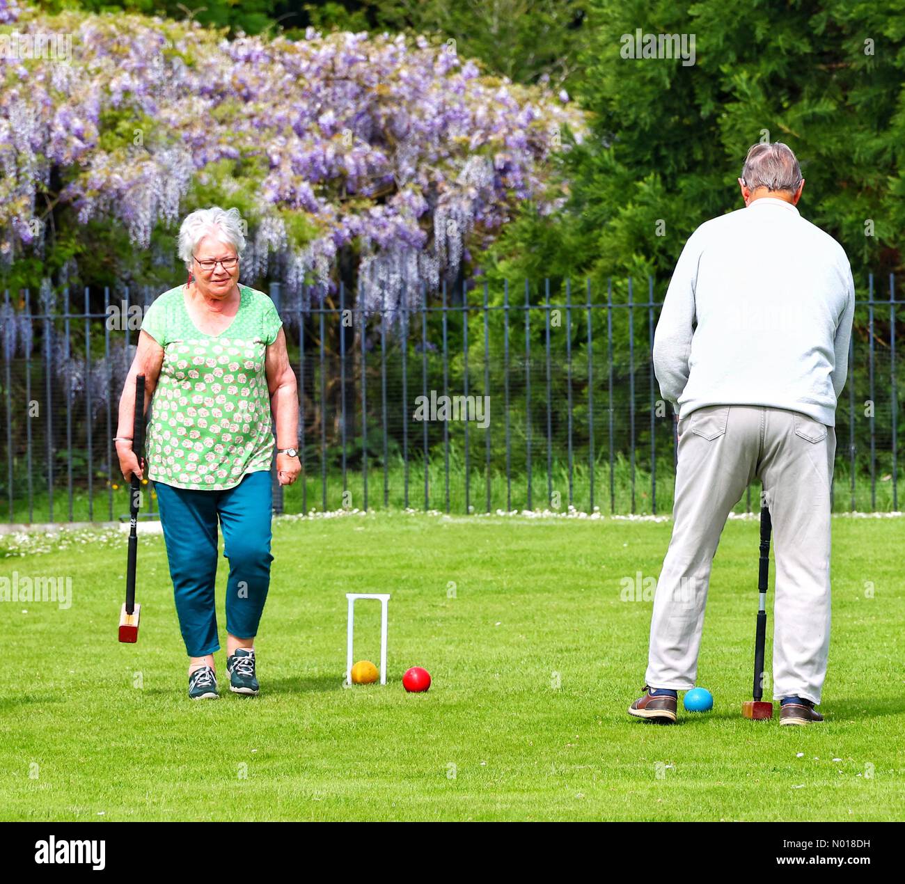UK Weather: warm spring sunshine for a gentle game of croquet in Pinces ...