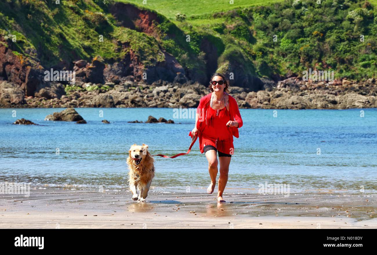 UK Weather: Happy Days! Glorious sunshine on the beach at Hope Cove ...