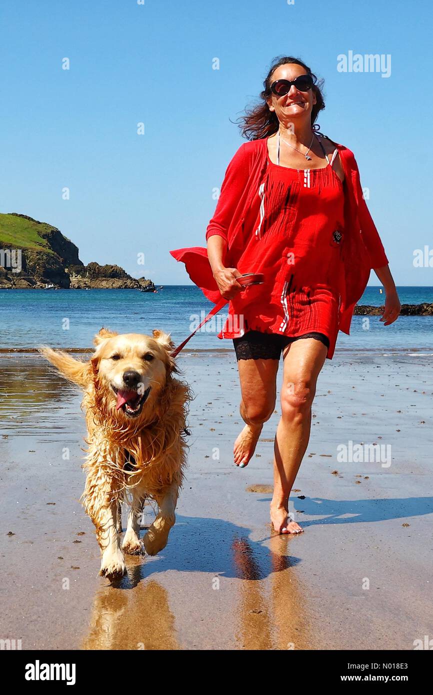 UK Weather: Happy Days! Glorious sunshine on the beach at Hope Cove ...