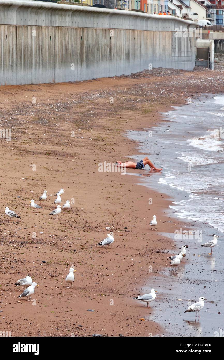 Dawlish, Devon, UK. 25th May, 2023. Beached by new sea wall in Dawlish ...