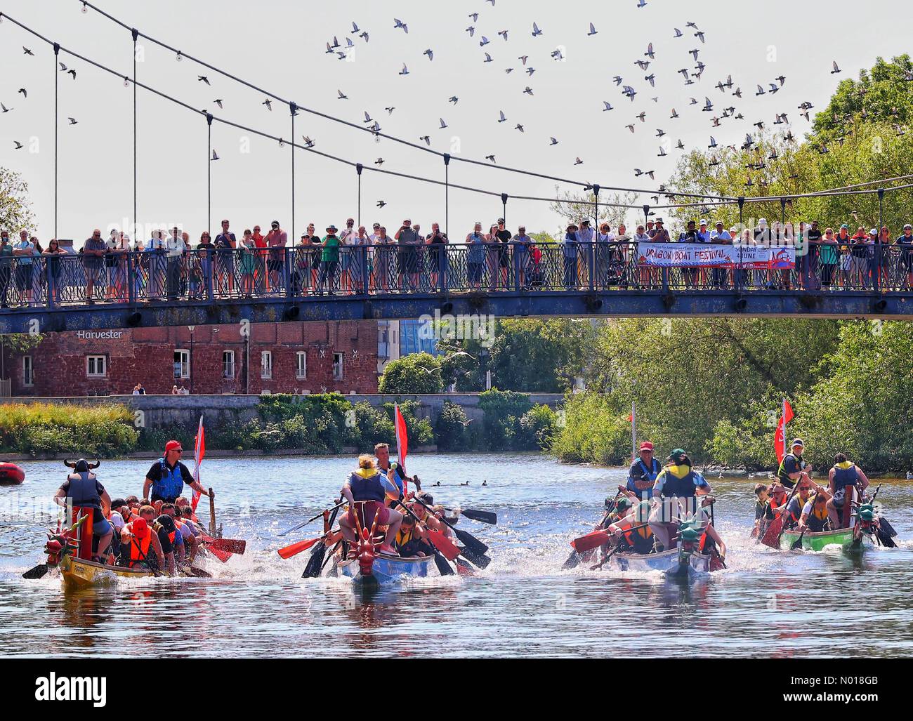 Exeter Dragon boat festival, Exeter quay, Devon, UK. 4 June 2023 ...