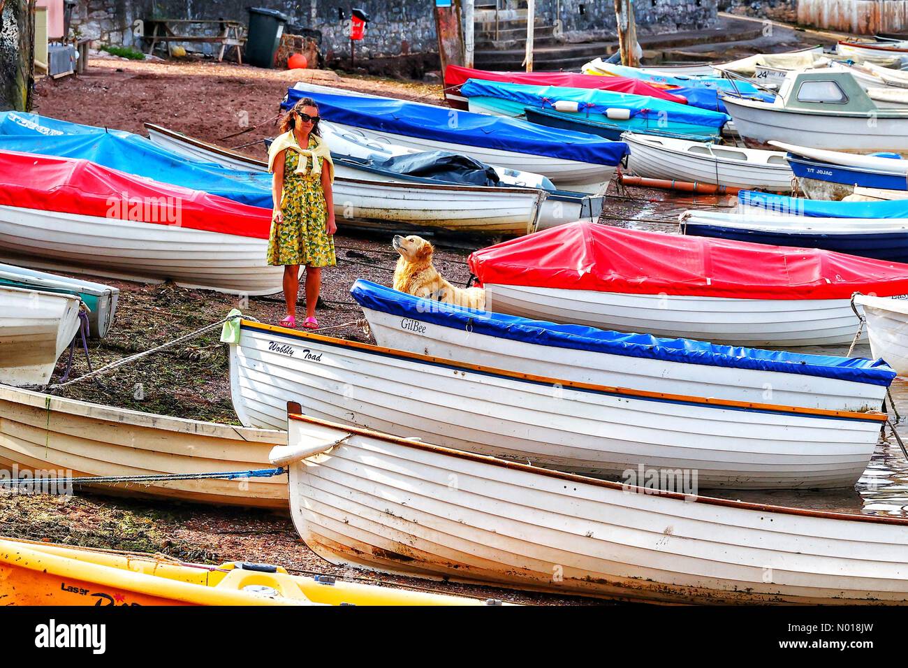UK Weather: Mild amongst the boats at back beach Teignmouth, Devon. 21 ...