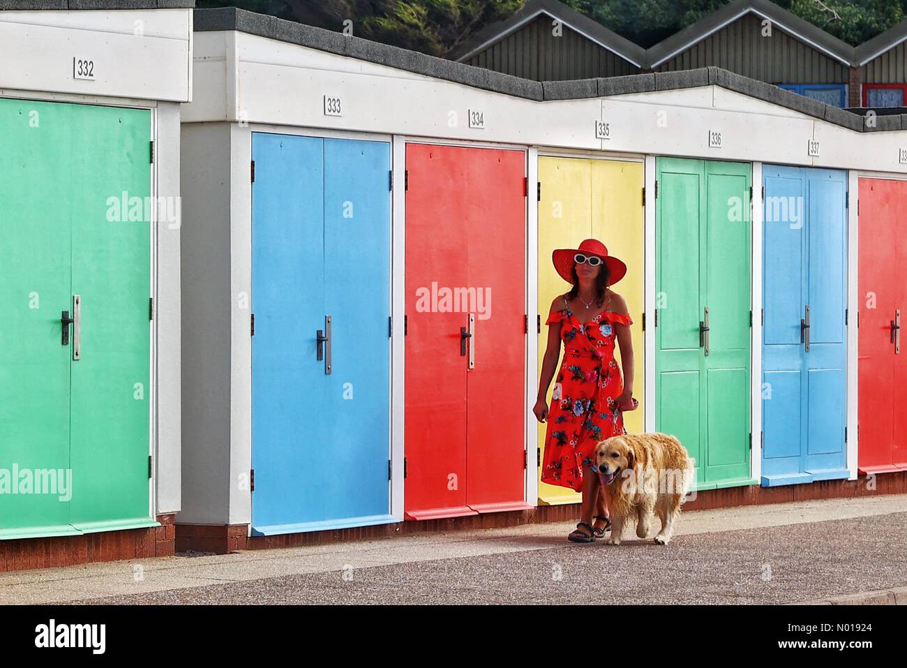 Devon, UK. 8 September, 2023. UK Weather: Dog walking before it gets ...