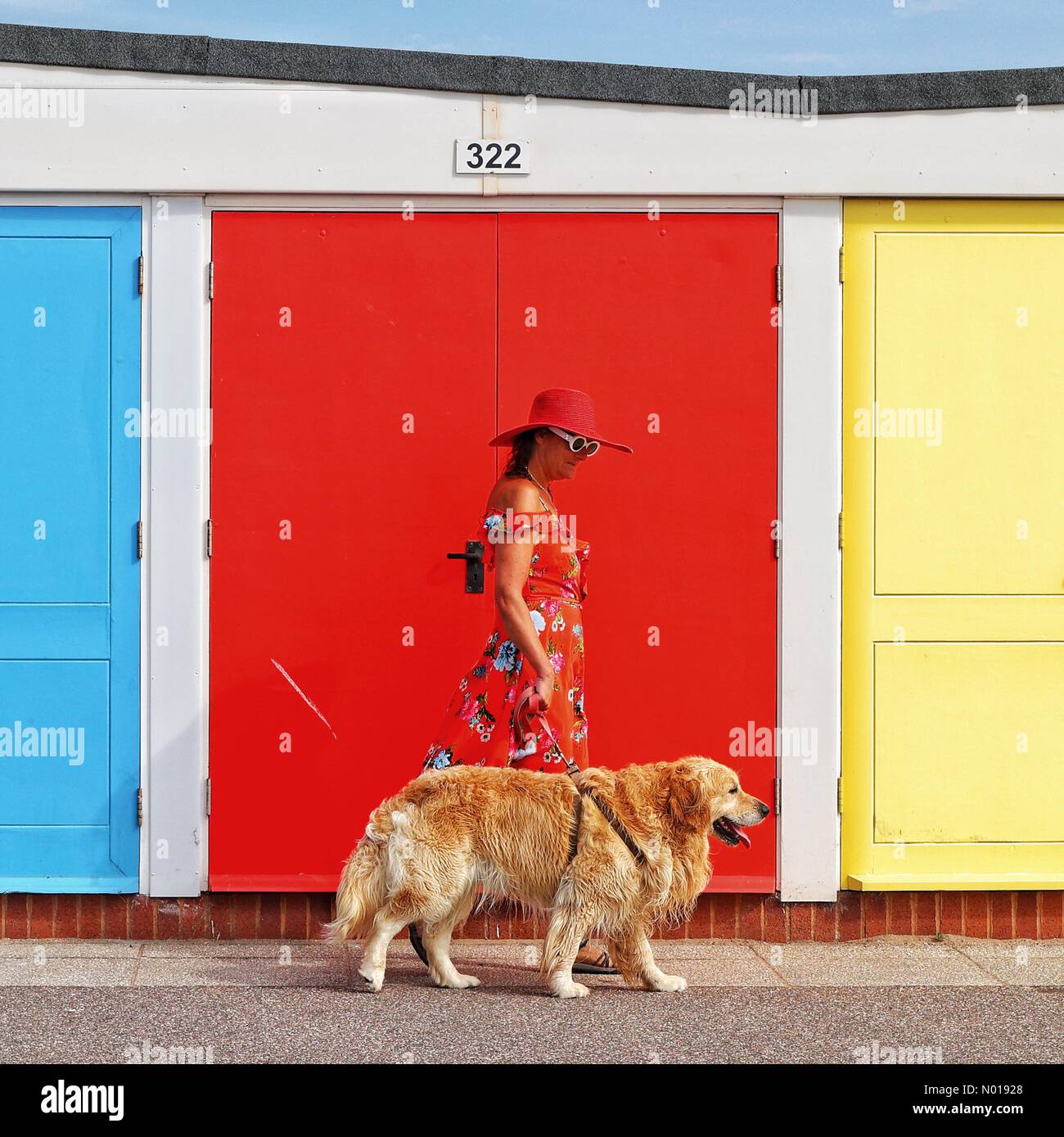 Devon, UK. 8 September, 2023. UK Weather: Dog walking before it gets ...