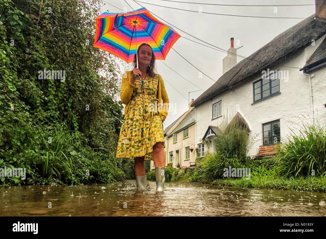 Ide devon hi-res stock photography and images - Alamy