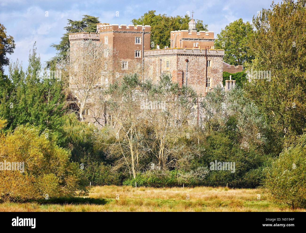 Powderham Castle scene as nearby village of Kenton recovers after ...