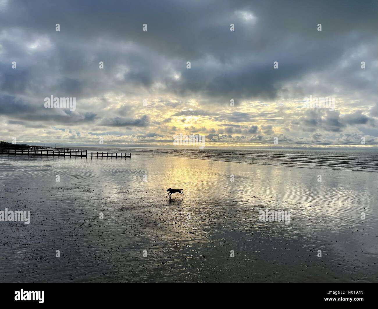 UK Weather: Rustington, Sussex, UK, 20th October 2023. A dog runs along ...