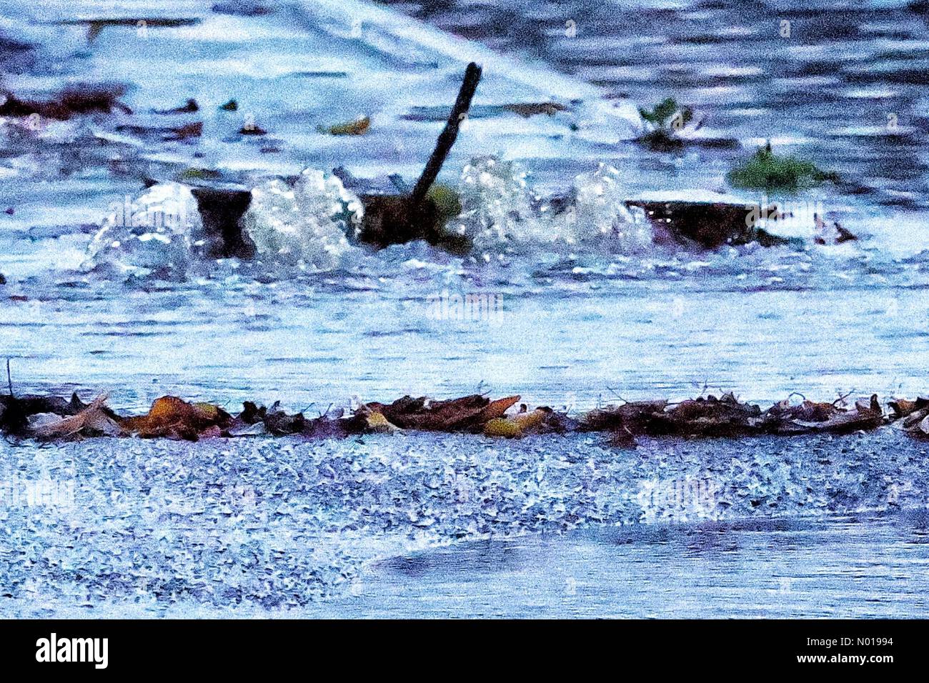 UK weather: Storm Ciarán brings 80mph winds and heavy rain to Devon ...