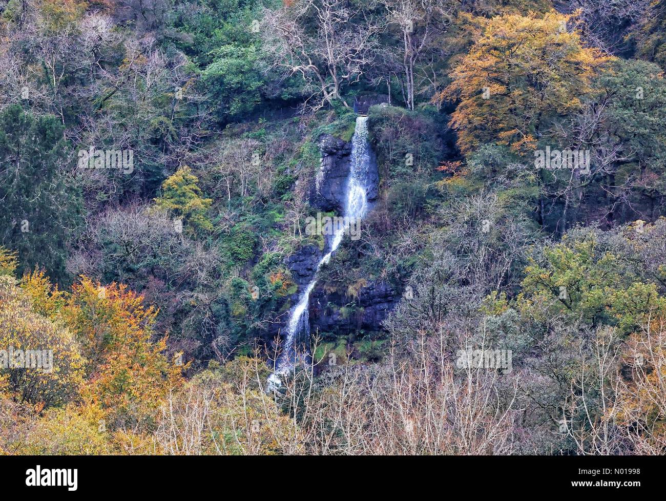 Autumnal Canonteign Falls in the Teign Valley, Devon, UK. 3 November ...