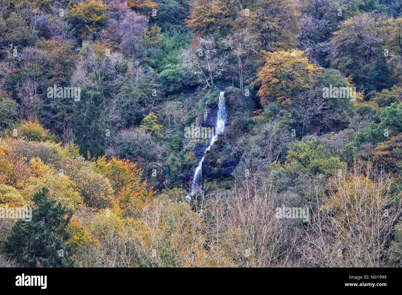 Autumnal Canonteign Falls in the Teign Valley, Devon, UK. 3 November ...