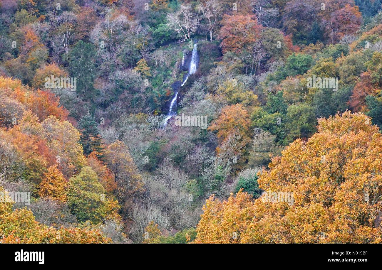 Chudleigh, South Devon, England. 9 Nov 2023. Autumnal Canonteign ...