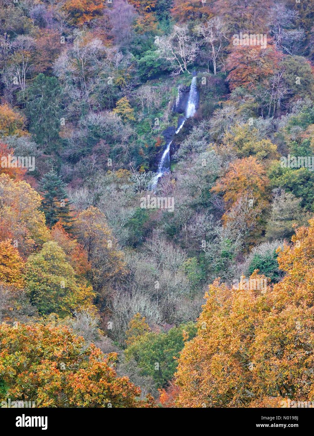 Chudleigh, South Devon, England. 9 Nov 2023. Autumnal Canonteign ...