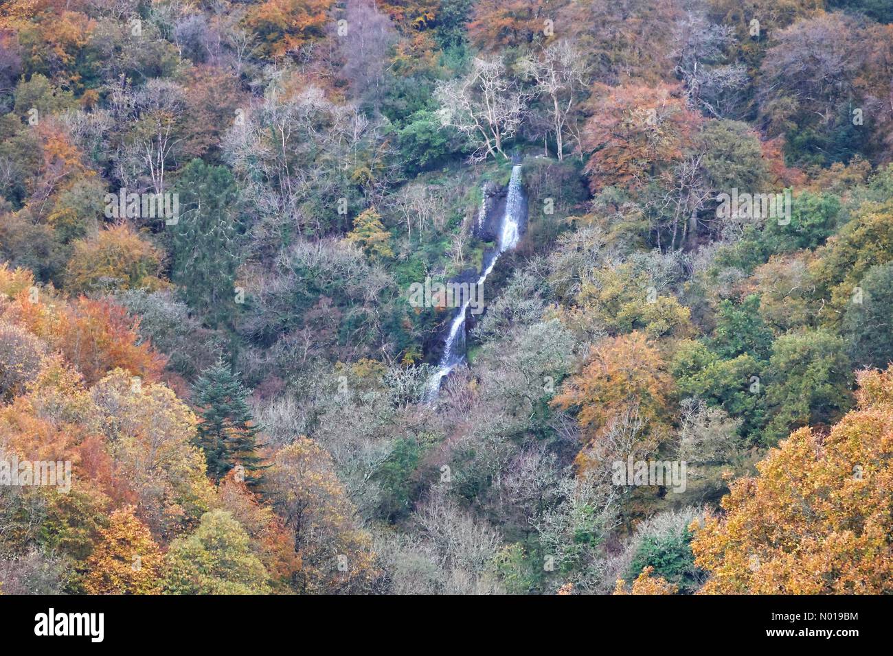 Chudleigh, South Devon, England. 9 Nov 2023. Autumnal Canonteign ...
