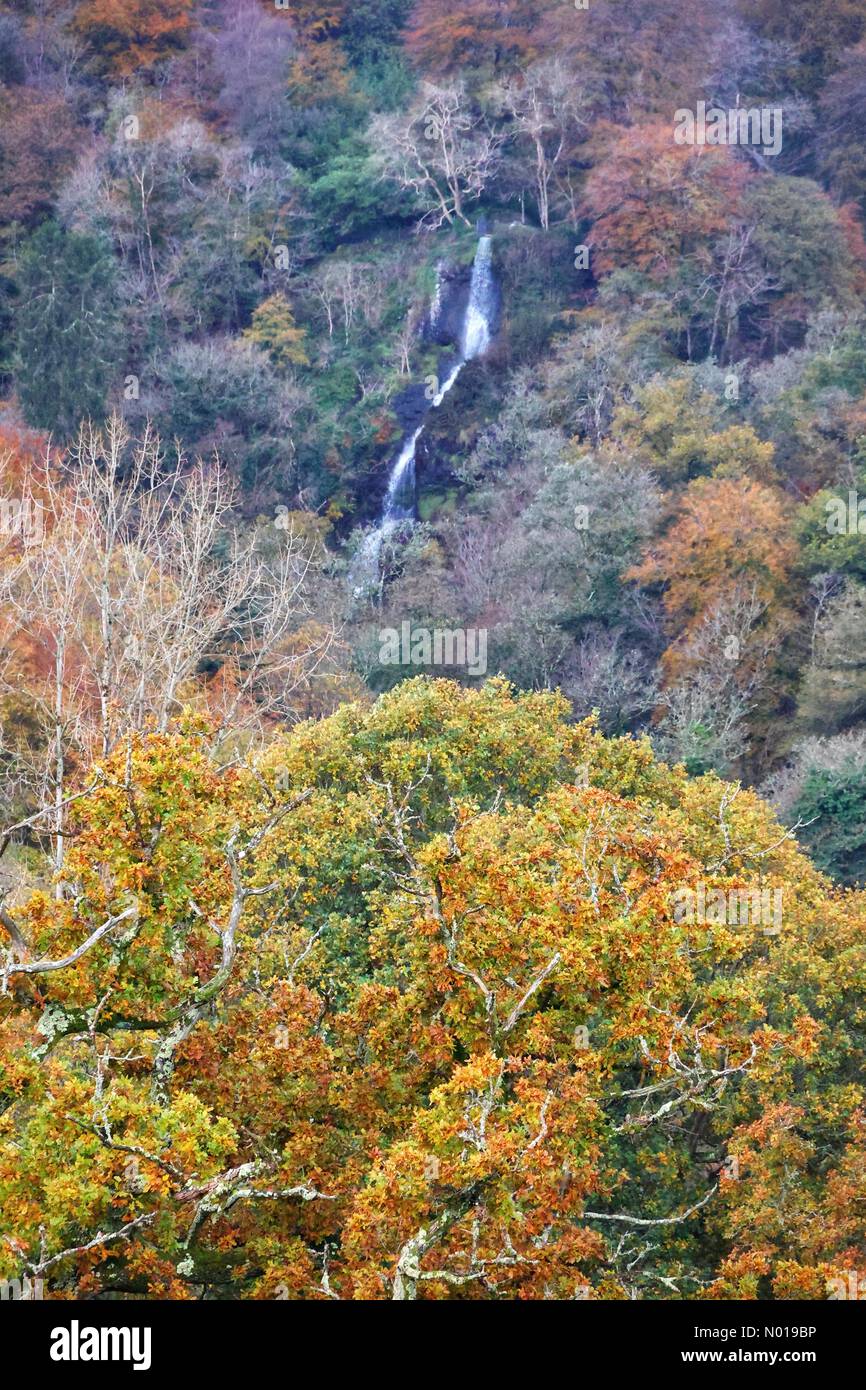 The Fall: Autumnal Canonteign waterfall in historic tything of ...