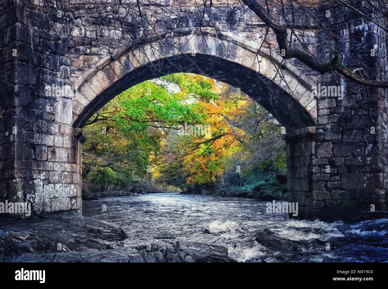 Autumnal River Dart flows under Newbridge at Spitchwick, Dartmoor ...