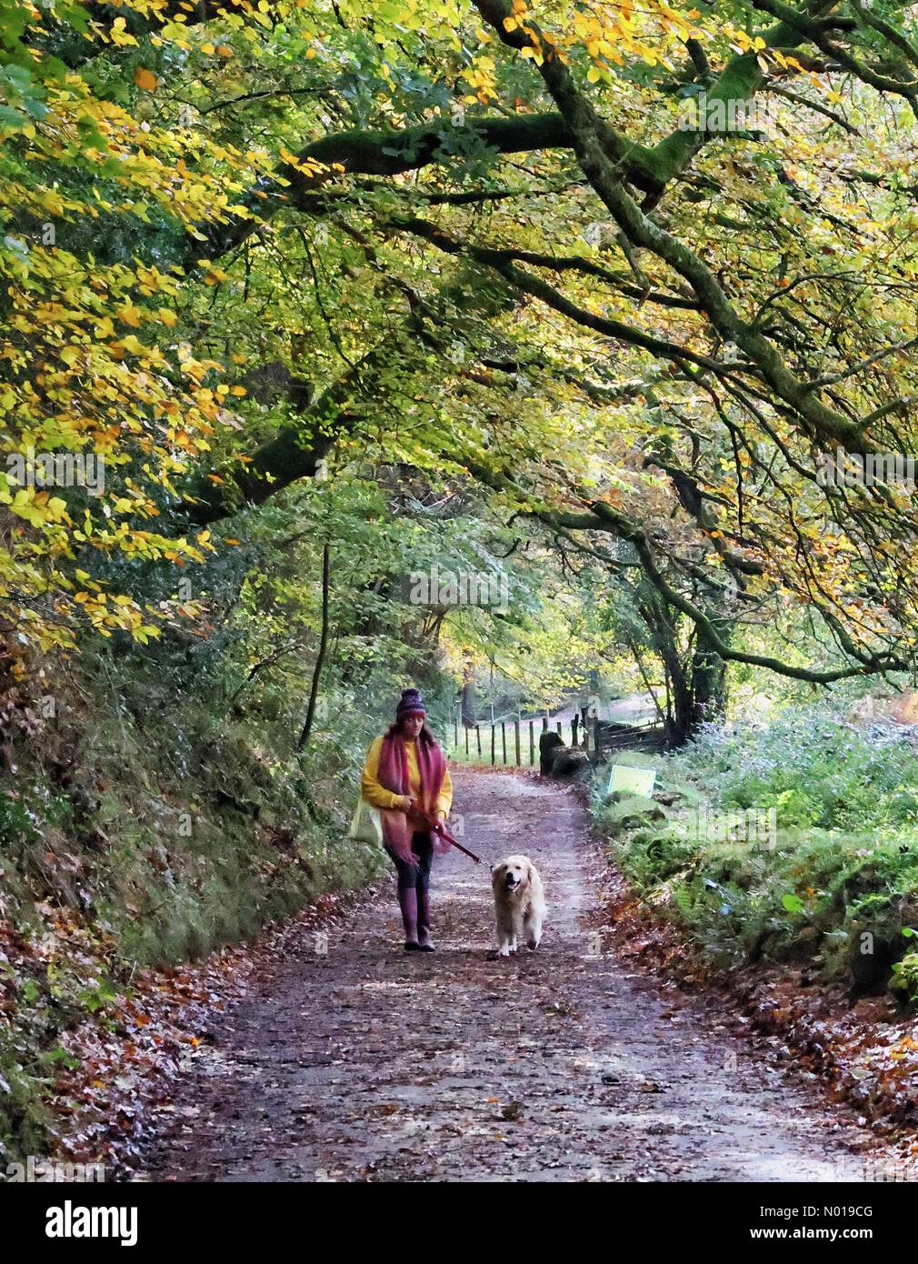 River Teign, Devon. 11th Nov 2023. UK Weather: Bright sunny Autumnal ...
