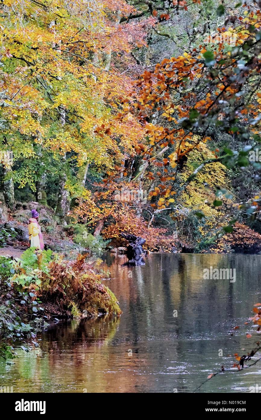 River Teign, Devon. 11th Nov 2023. UK Weather: Autumn leaves changing ...