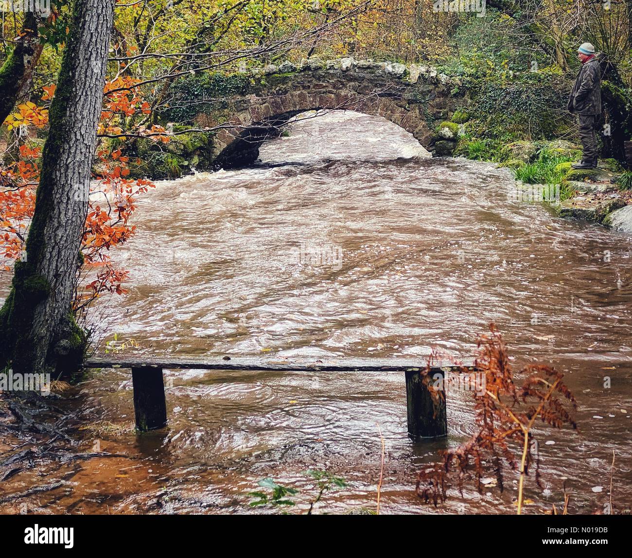 UK Weather: Heavy rain River Bovey in High water at ancient Hisley ...