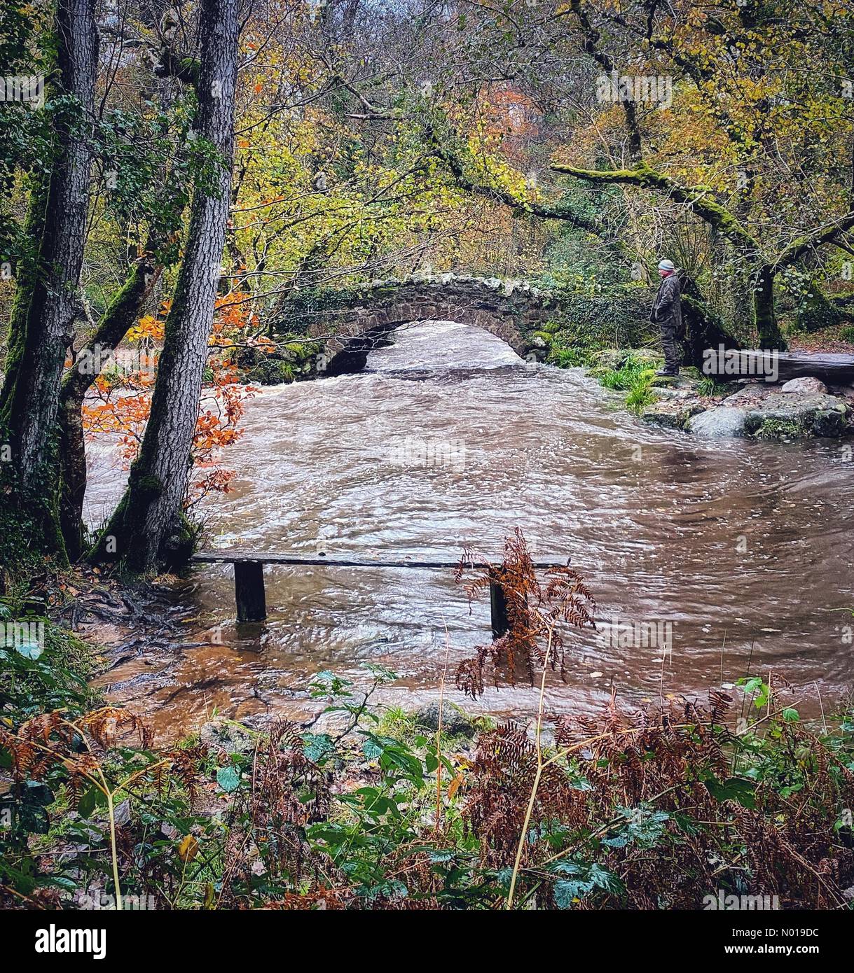 UK Weather: Heavy rain River Bovey in High water at ancient Hisley ...