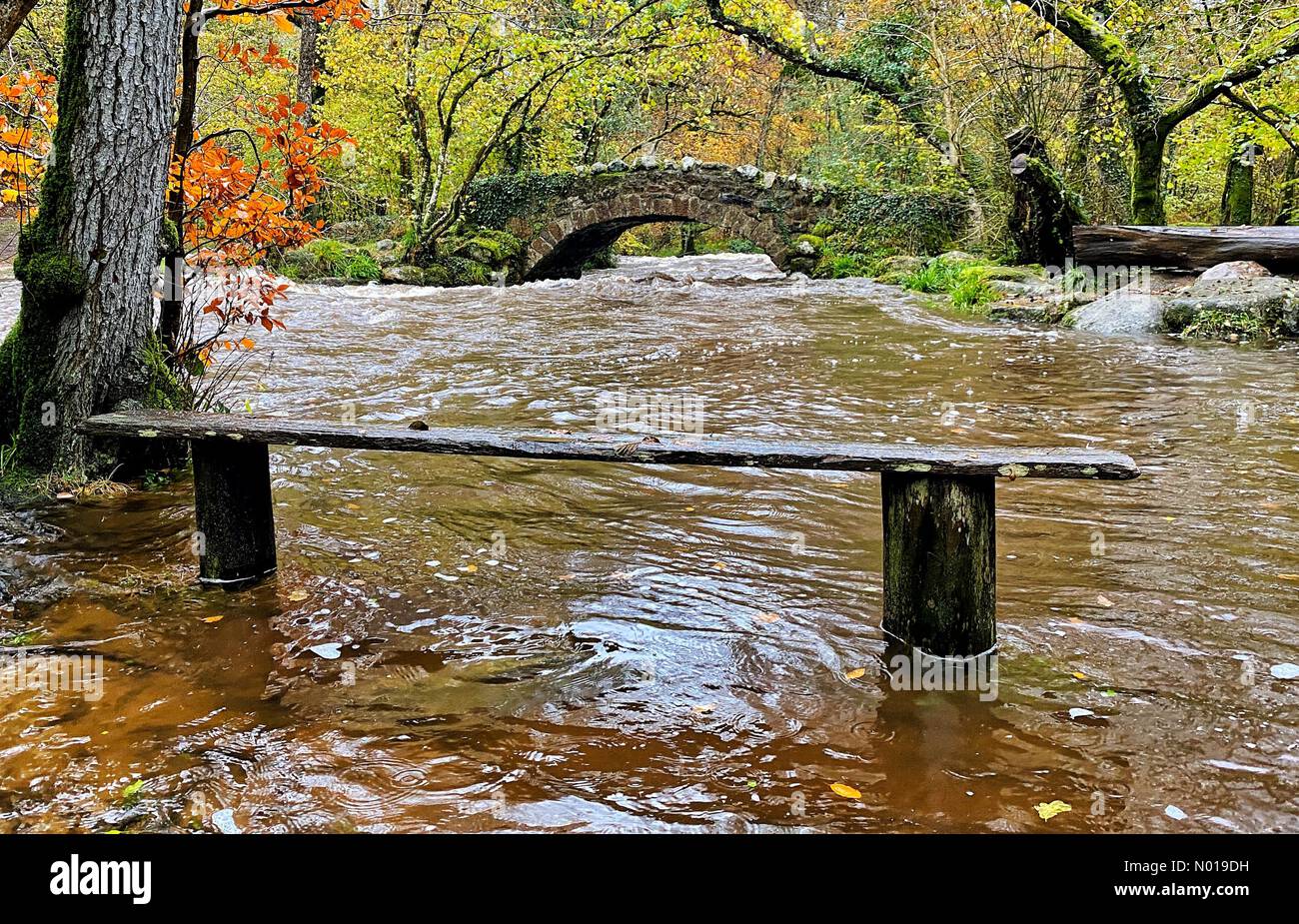 UK Weather: Heavy rain River Bovey in High water at ancient Hisley ...