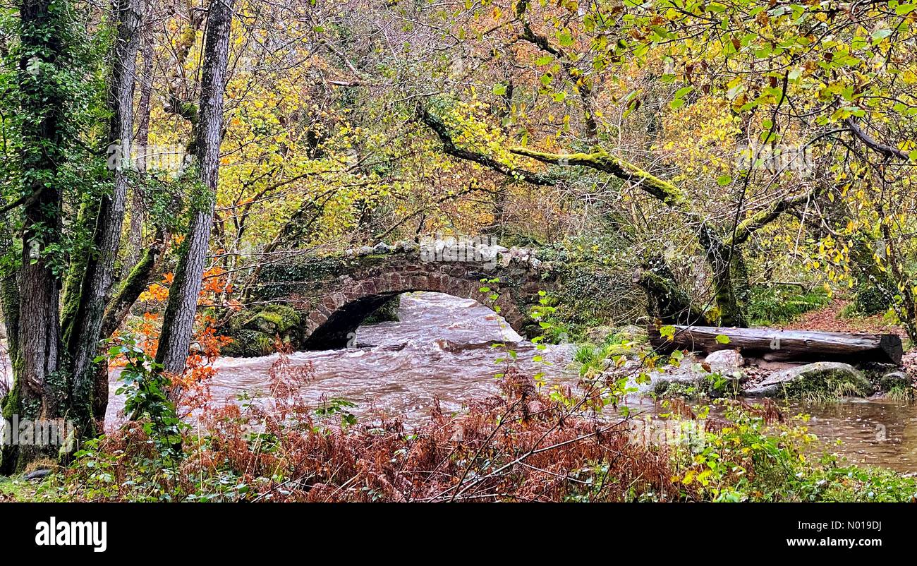 UK Weather: Autumnal Hisley Bridge on Dartmoor, Devon, UK. 16 November ...