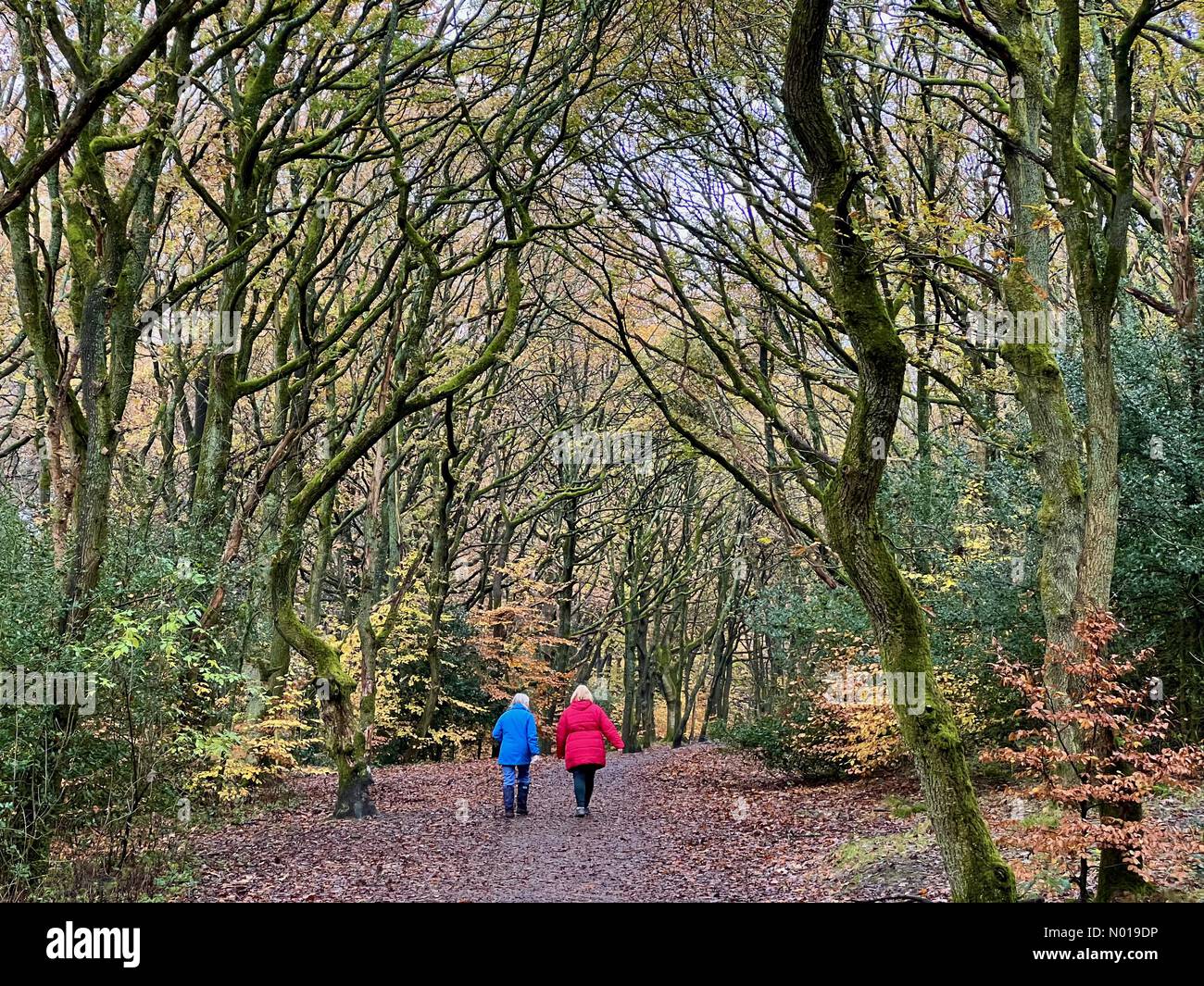 UK Weather: Sunny spells and autumn colours at Rivington. Two people ...