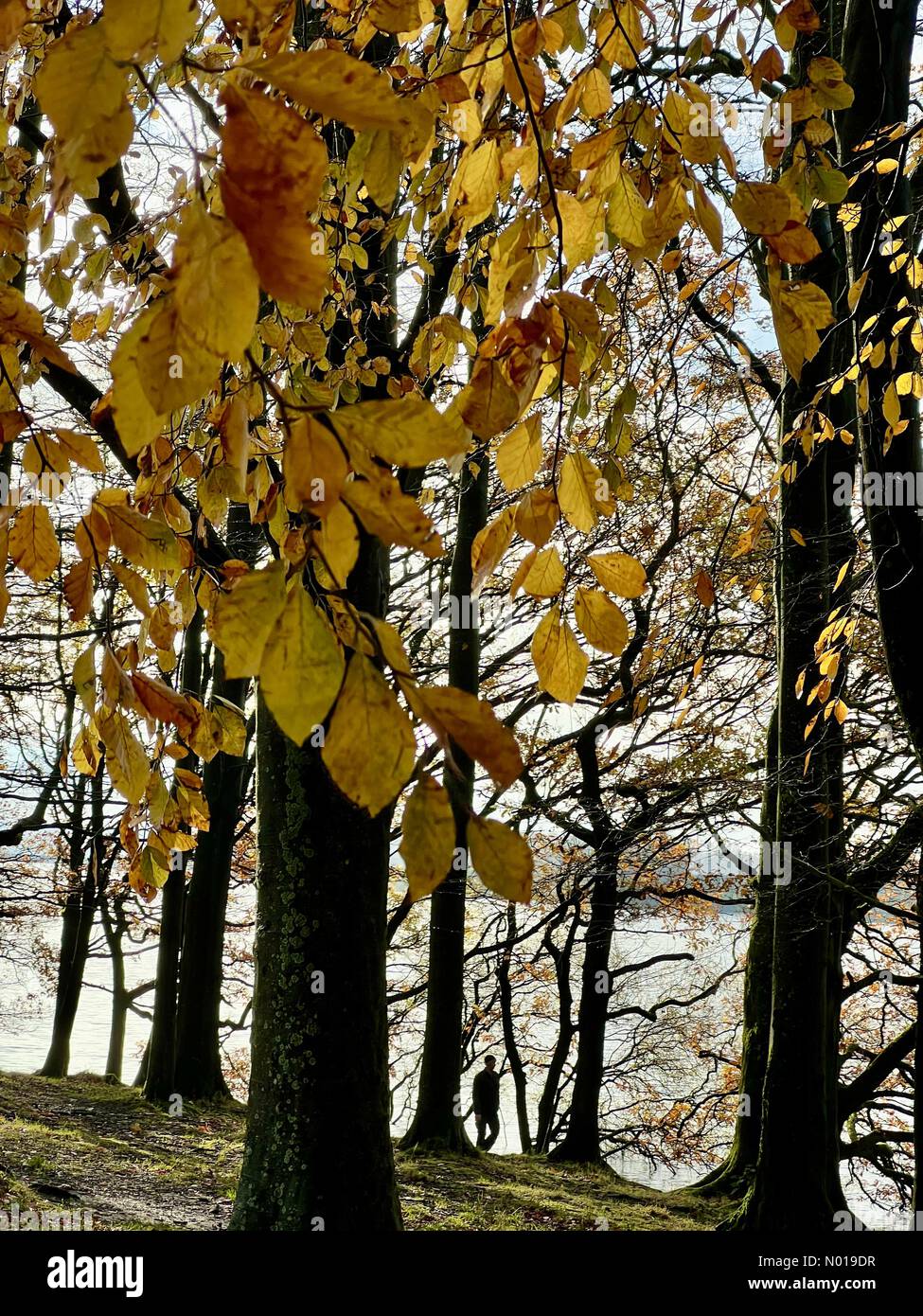 UK Weather: Sunny spells and autumn colours at Rivington. Walking in ...