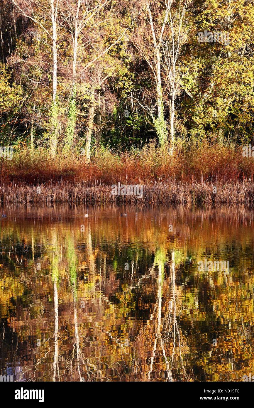 UK Weather: Calm Autumnal reflections at Stover Park near Newton Abbot ...
