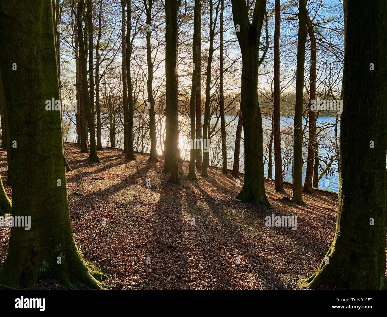 UK Weather: Sunny day at Rivington, Lancashire. Autumn colours at ...