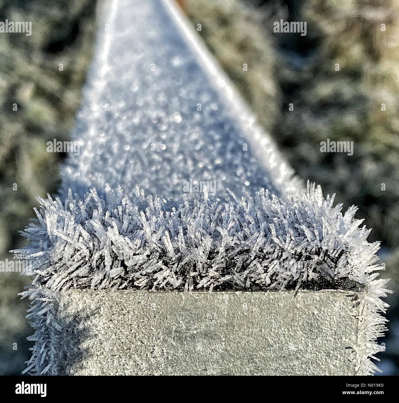 UK Weather: Frozen fence post with spiky hoar frost in Dunsford, Teign ...