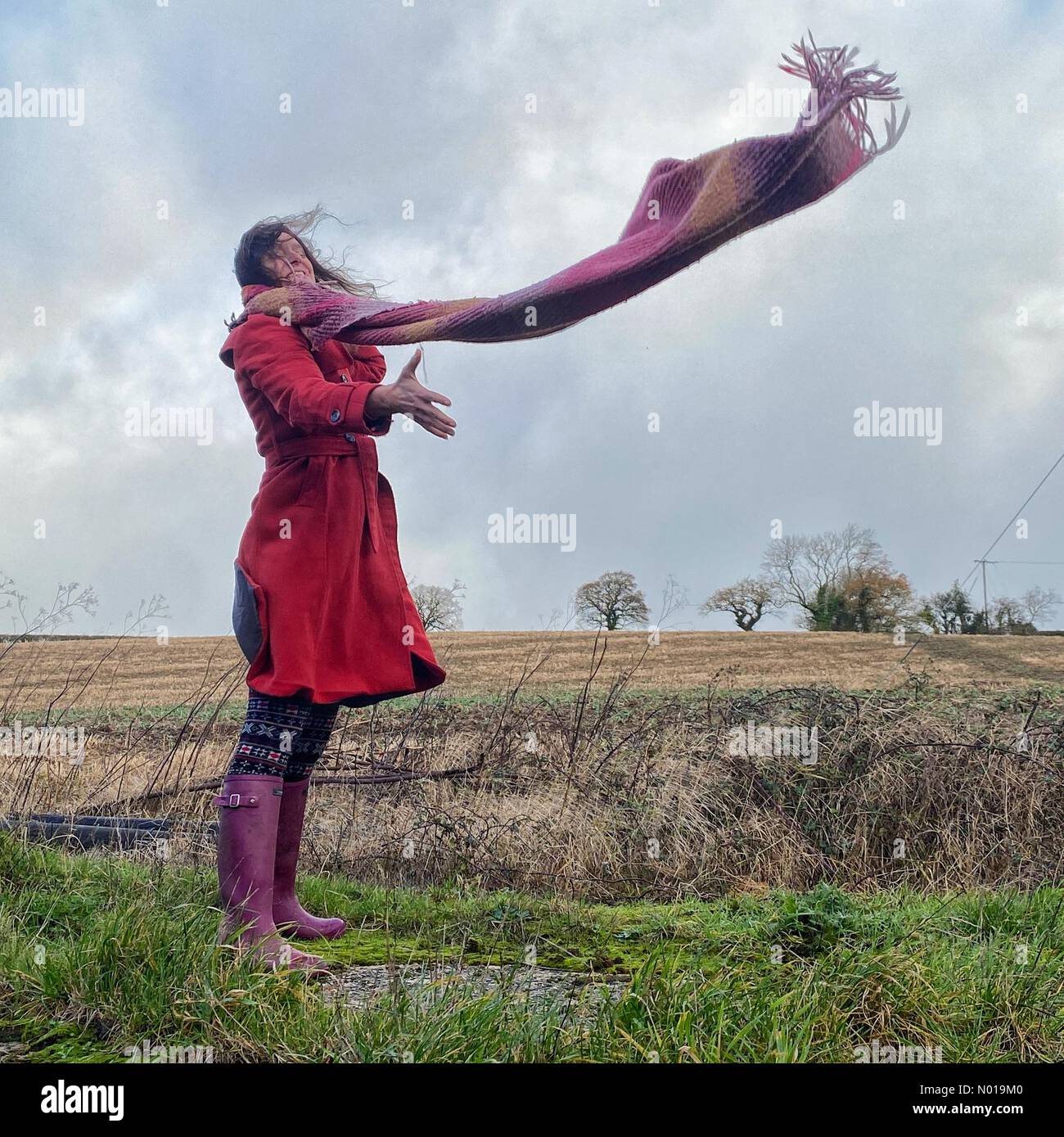UK Weather: Gusty wind at Dunsford in Devon, UK. Pictured: Raich Keene ...