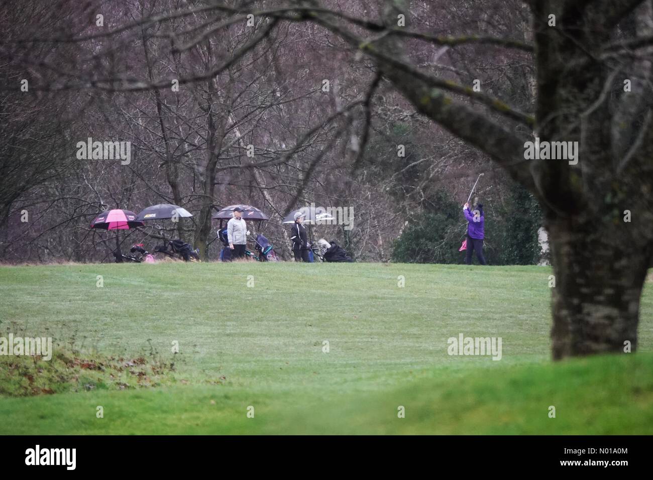 UK Weather: Heavy rainfall in Godalming. Milford Golf Course, Godalming ...