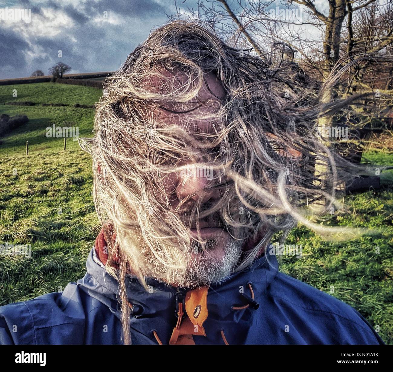 Dunsford, Devon, UK. 31 December 2023. UK Weather: Windswept gale ...