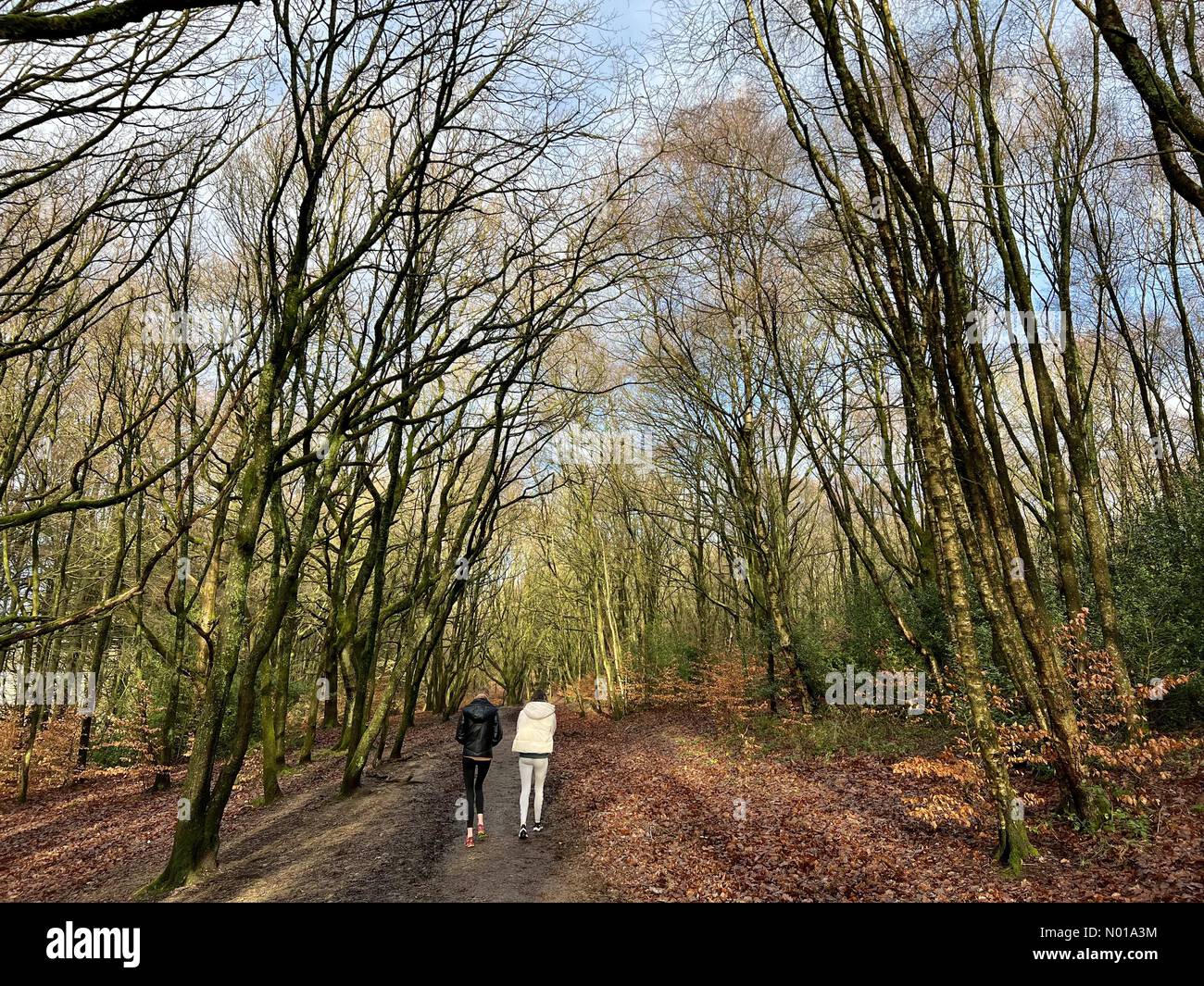 UK Weather: Sunny spells at Rivington. Two girls walking in woods at ...