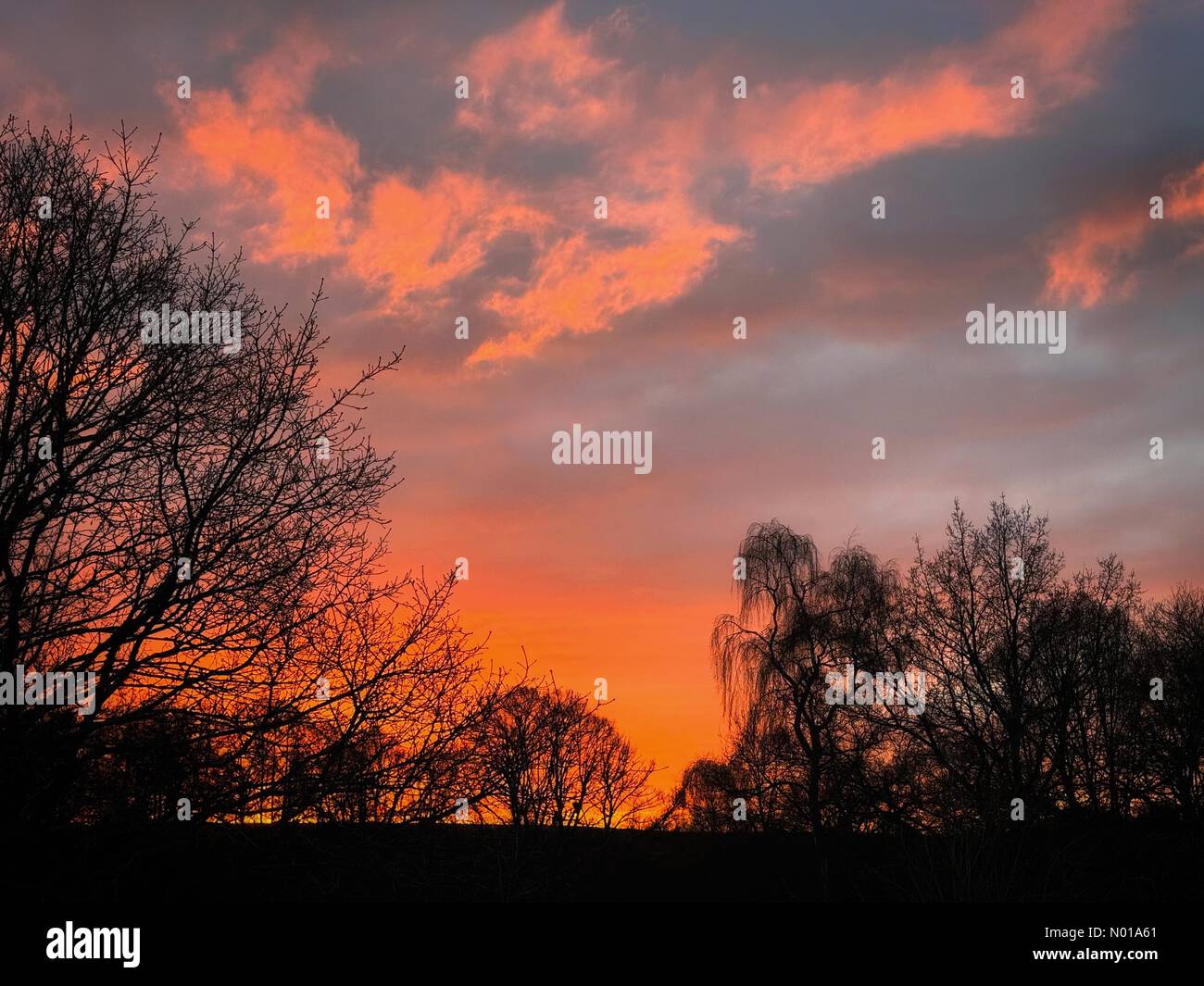 UK Weather: Sunset over Godalming. Marsh Farm, Godalming. 07th January ...