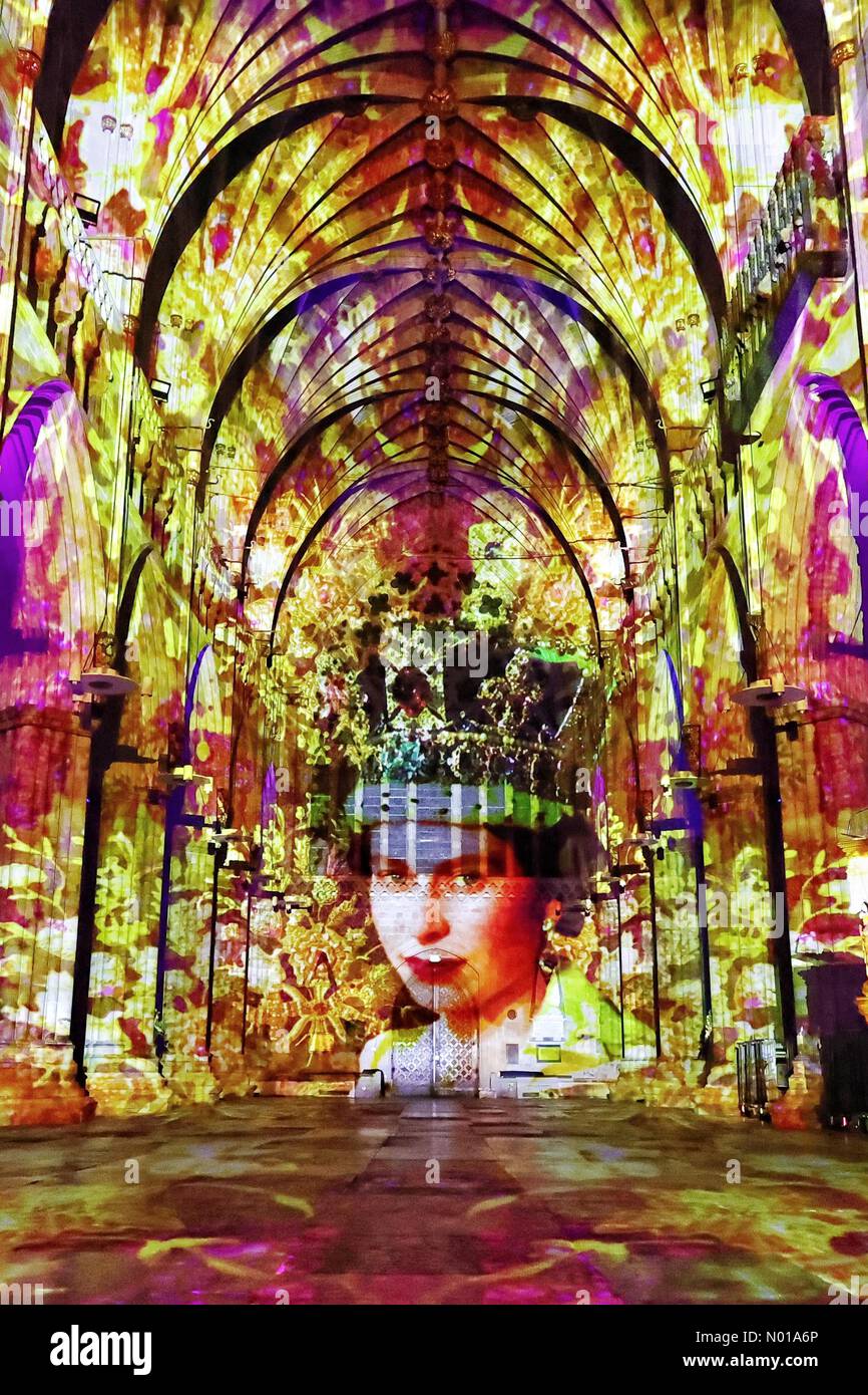 Exeter Cathedral, Devon, UK. 9th January, 2024. Luxmuralis: Crown and ...