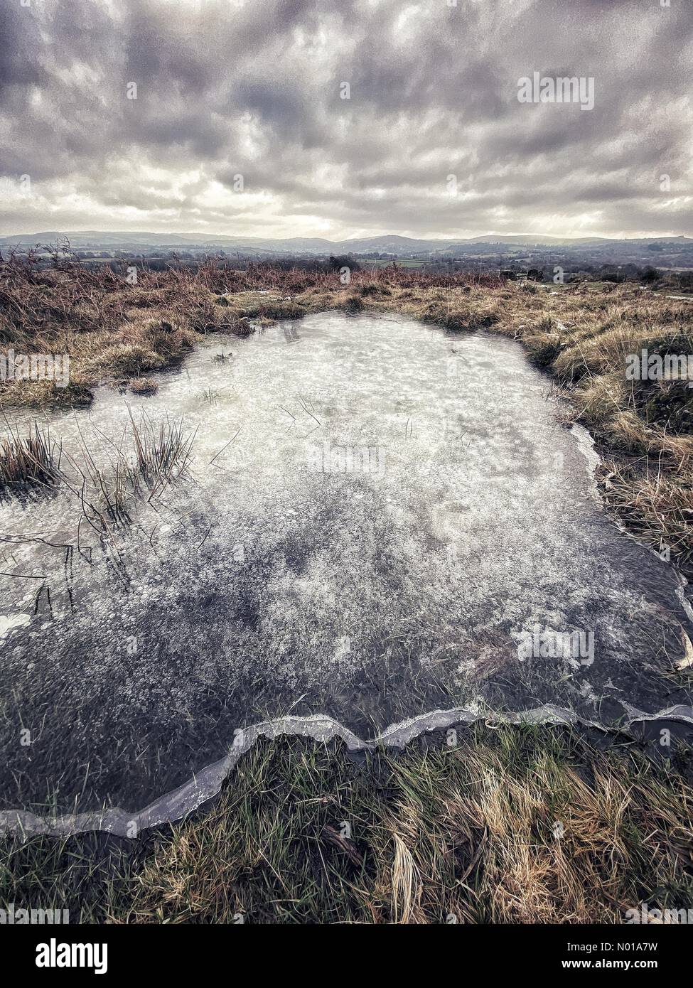 UK Weather: Frozen barren landscape near Throwleigh on Dartmoor, Devon ...