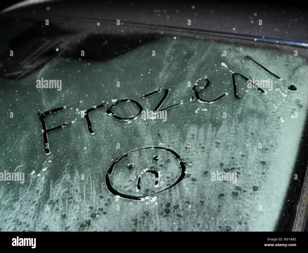 UK Weather: Frosty in Godalming. Sycamore Avenue, Godalming. 15th ...