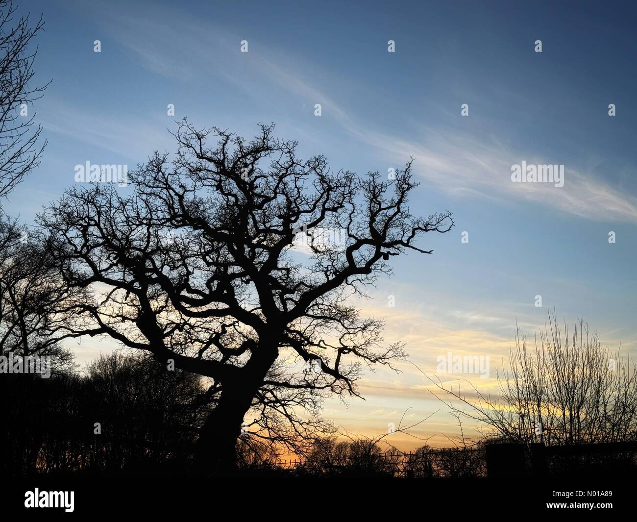 UK Weather: Sunset over Woking. Egley Rd, Woking. 15th January 2024. A ...