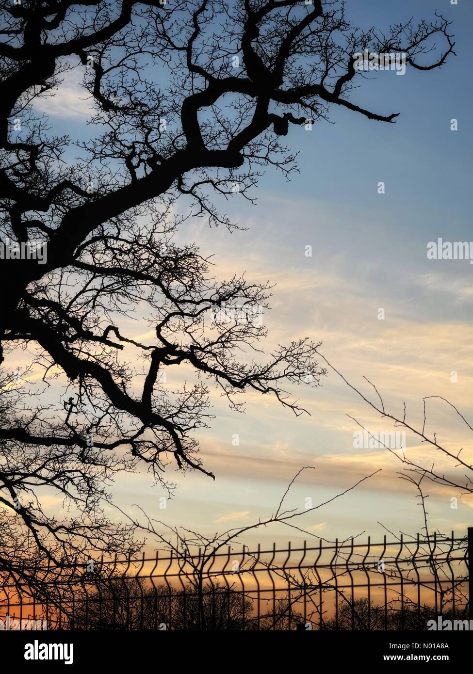UK Weather: Sunset over Woking. Egley Rd, Woking. 15th January 2024. A ...