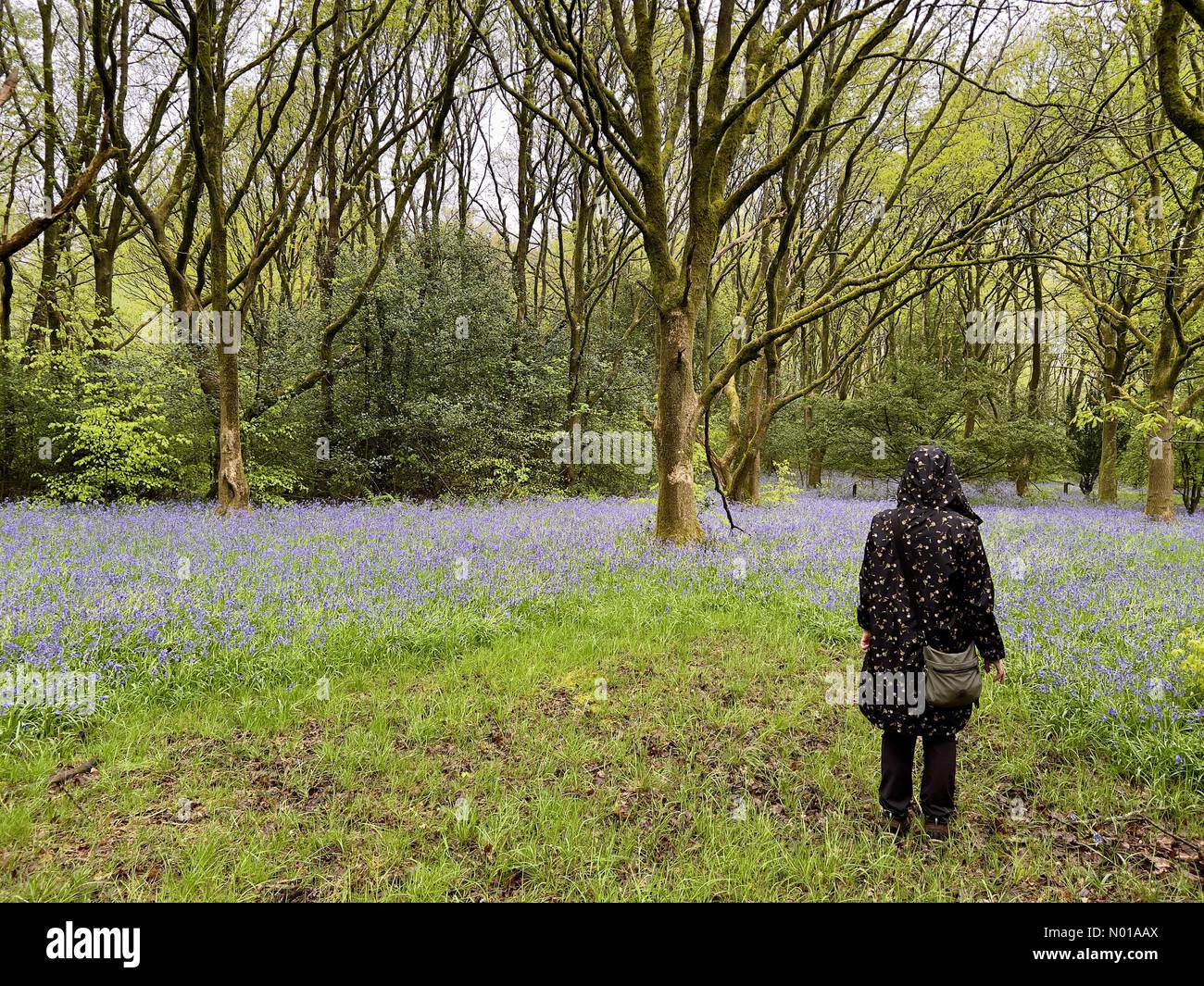 UK Weather: Raining at Rivington, Lancashire. Light rain at Rivington ...