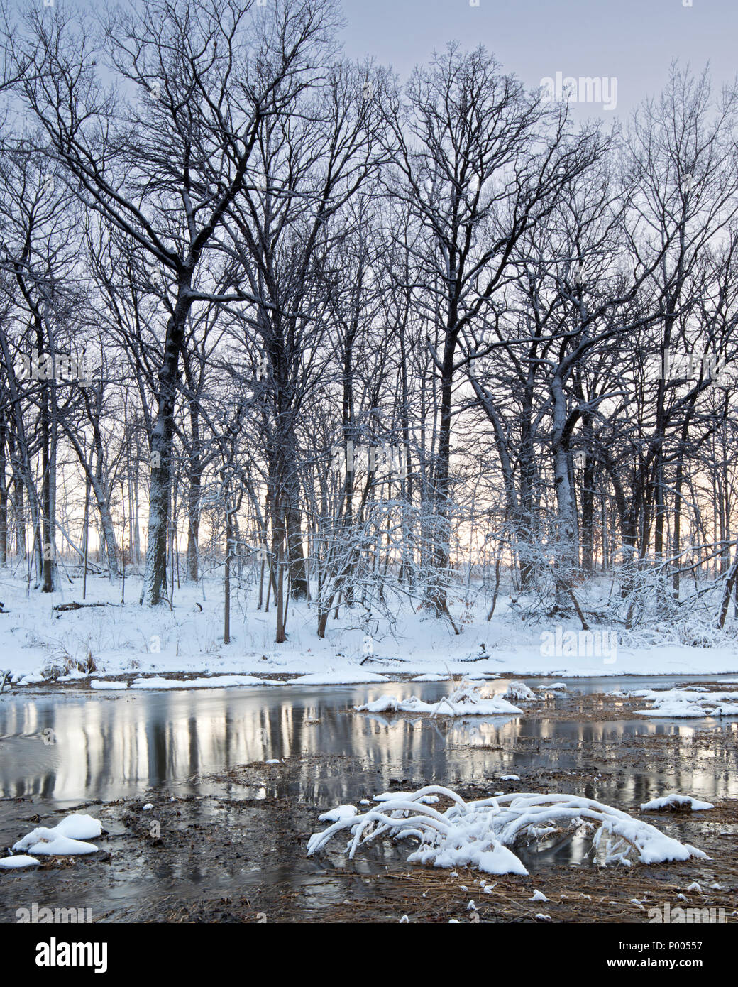 Morton illinois hi-res stock photography and images - Alamy