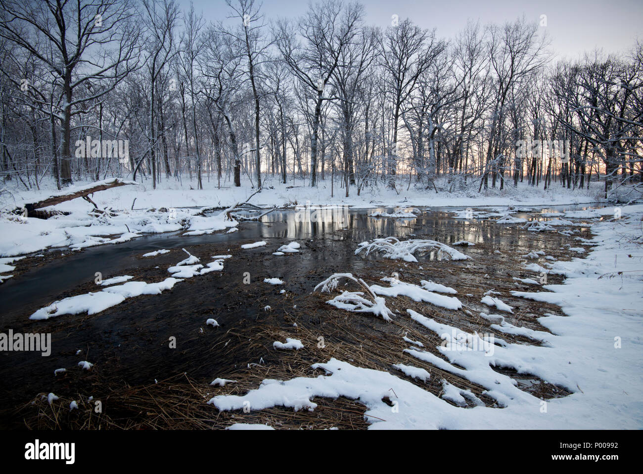 Morton arboretum hi-res stock photography and images - Alamy