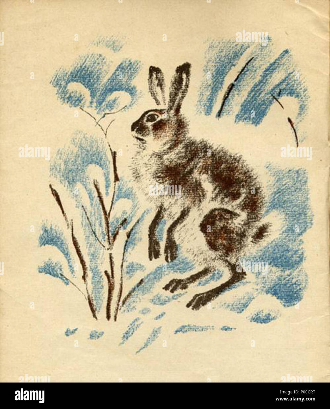 Historical illustration from natural hi-res stock photography and images - Alamy