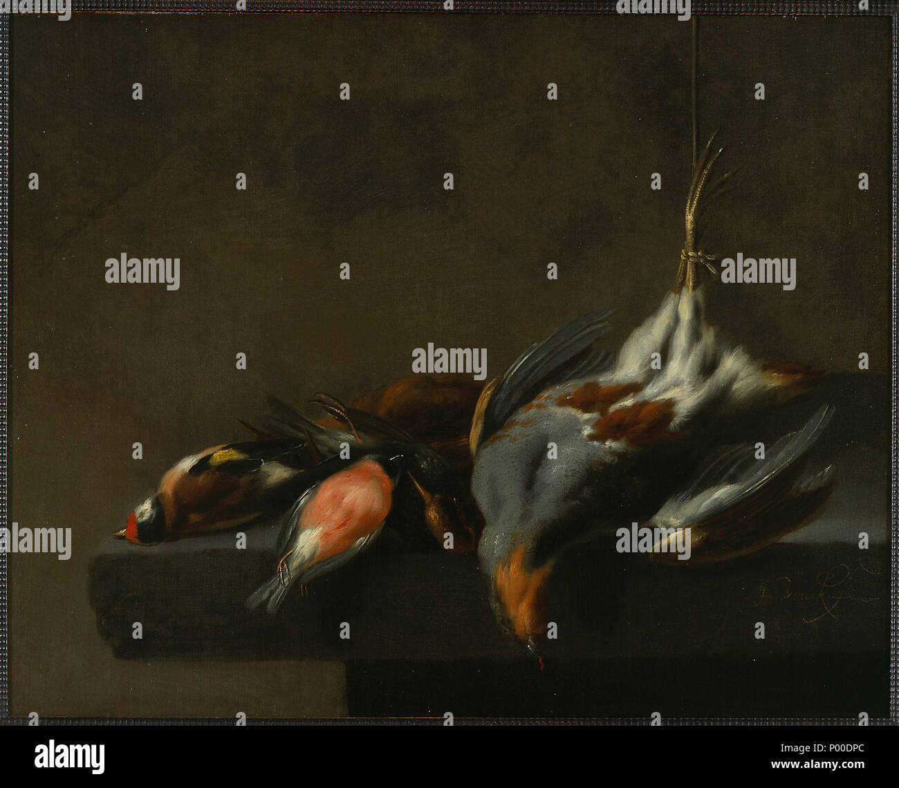 Still life with dead birds hi-res stock photography and images - Alamy