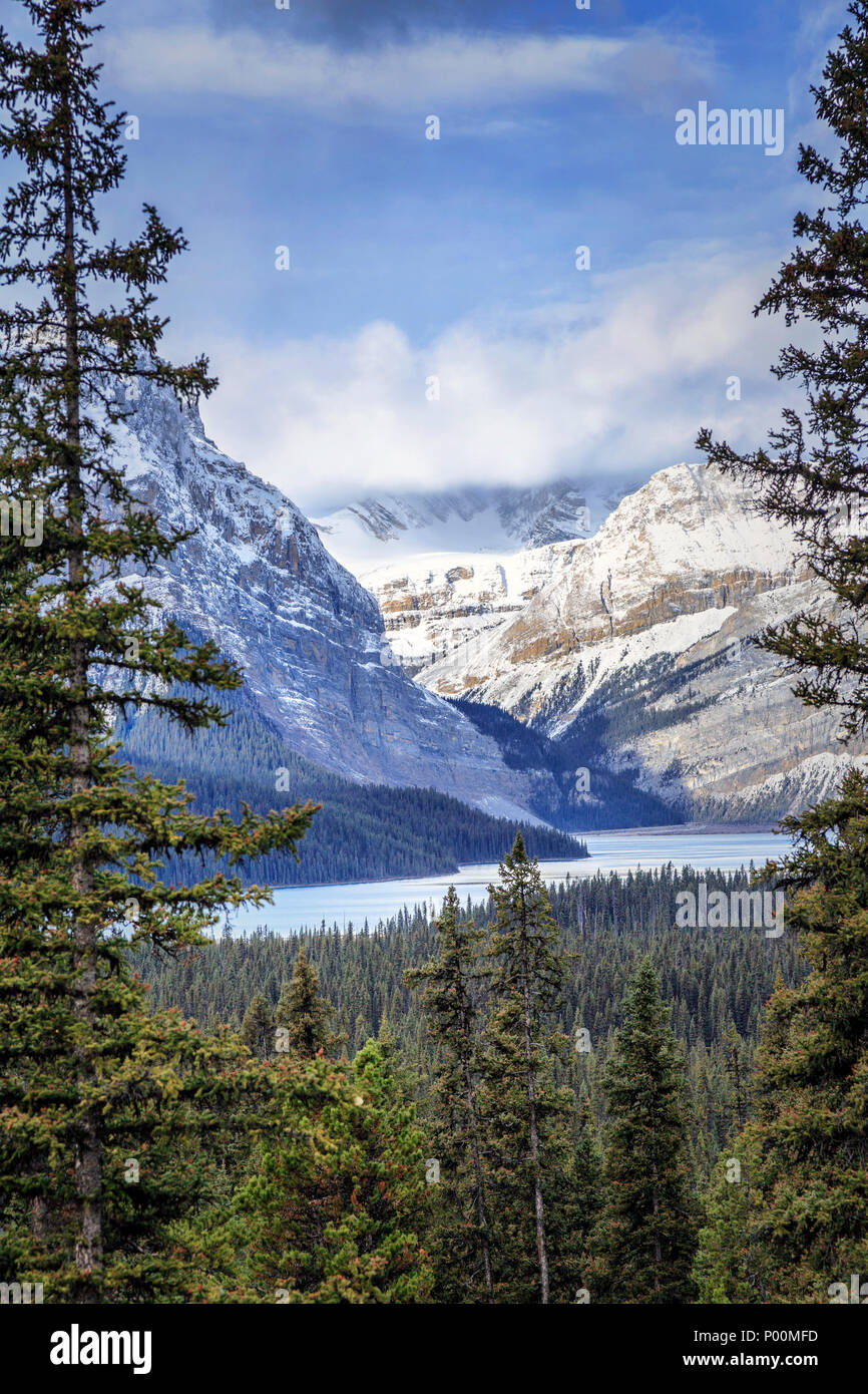 Hector Lake, Banff National Park, Canada Stock Photo - Alamy